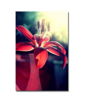 Beata Czyzowska Young 'Lady in Red' Canvas Art - 47" x 30" - Macy's