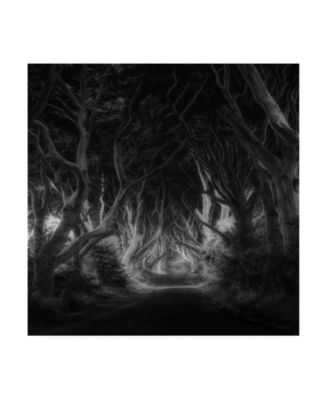 Saskia Dingemans The Dark Hedges Bewitched Canvas Art - 20" x 25" - Macy's