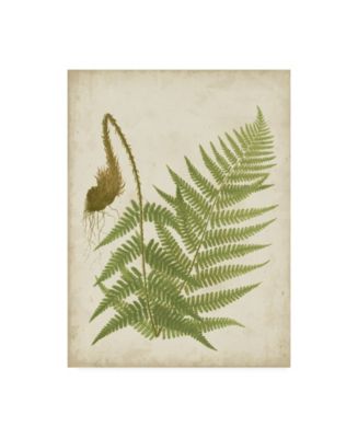 Vision Studio Fern Trio I Canvas Art - 27" x 33.5" - Macy's