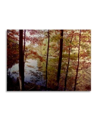 Kurt Shaffer A Secret Pond Floating Brushed Aluminum Art - 22" x 25 ...