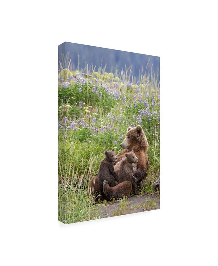 Trademark Global Renee Doyle In a Mothers Arms Canvas Art - 36.5" x 48 ...