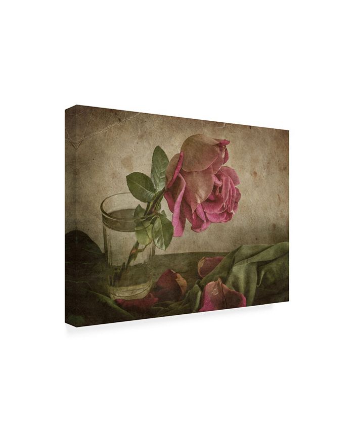 Trademark Global Igor Tokarev Tear of Rose Canvas Art - 15" x 20" - Macy's