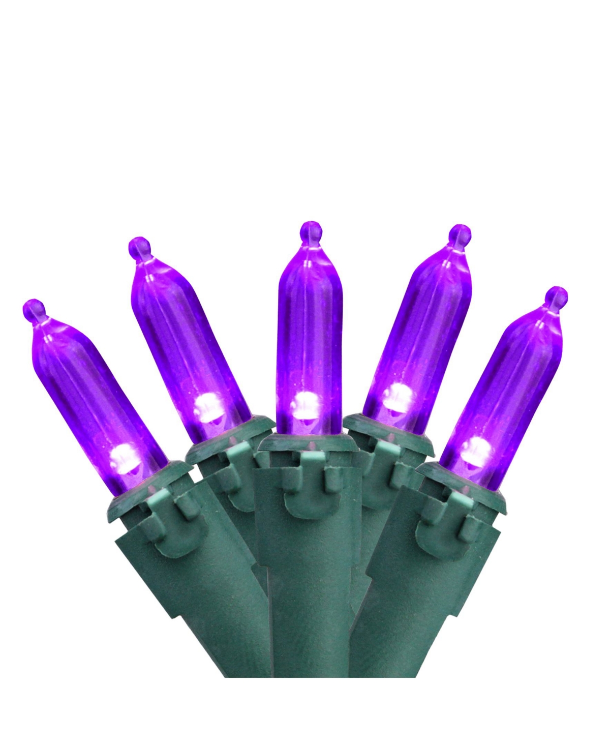 Click here for Northlight Set of 50 Purple Led Mini Christmas Lig... prices