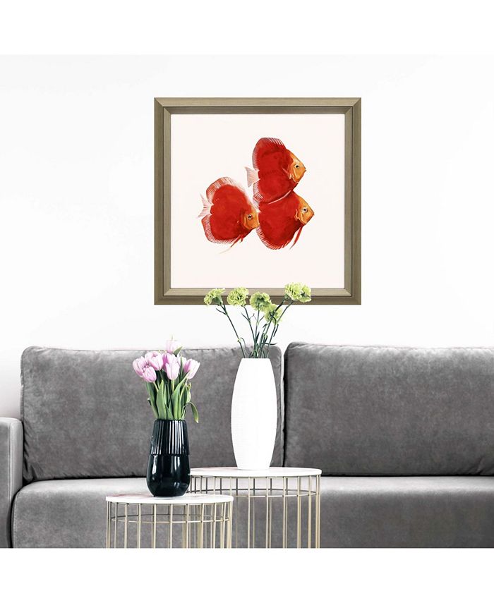 Paragon Picture Gallery Paragon Discus Fish I Framed Wall Art, 30" x 30 ...