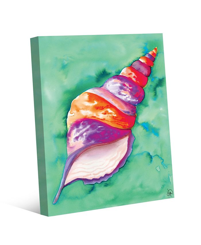 Creative Gallery Colorful Sea Snail Shell 36" x 24" Canvas Wall Art ...