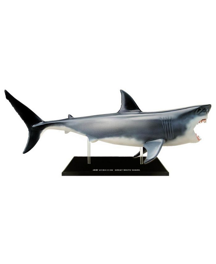 4D Master 4D Vision Great White Shark Anatomy Model - Macy's