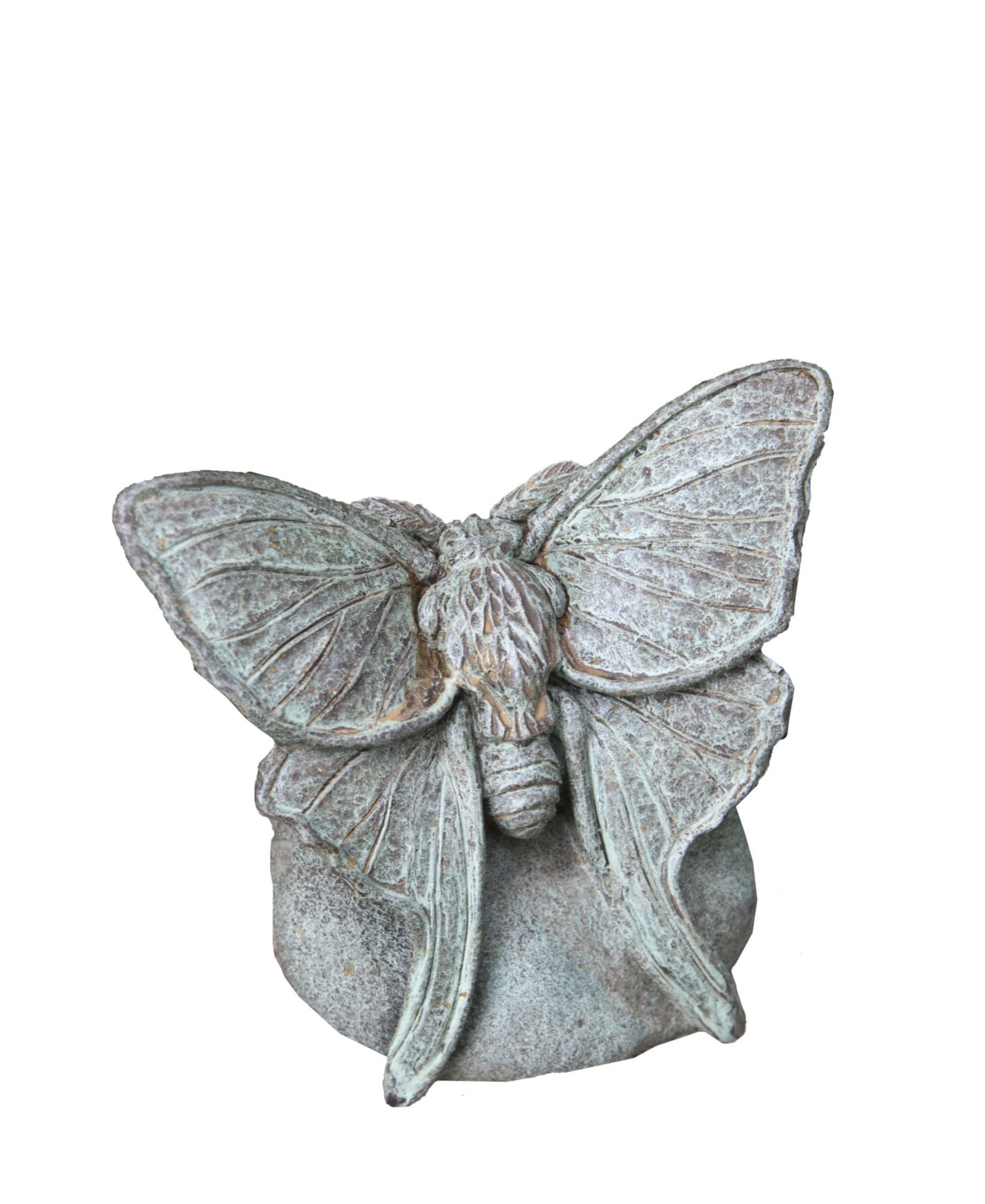 Click here for Campania International Lunar Moth Garden Statue -... prices