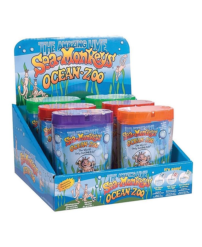 Sea Monkey's The Origianl Sea-Monkeys Neon Ocean Zoo Kit - World's only ...