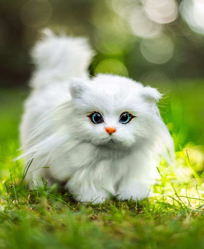 The Queen's Treasures 18" Doll Pet Accessories, Set of 4 Realistic ...