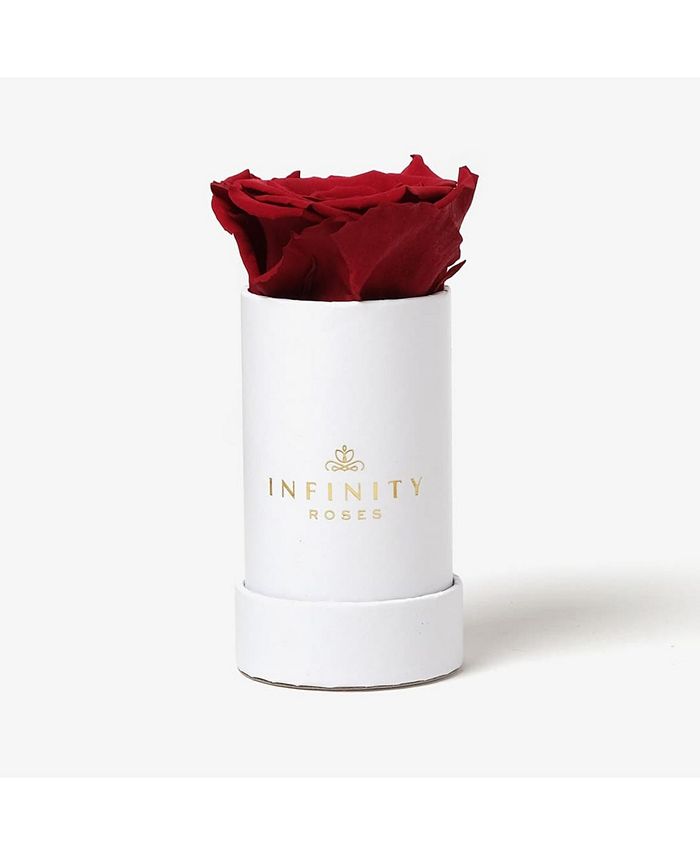 Infinity Roses Single Red Real Rose Preserved To Last Over A Year - Macy's