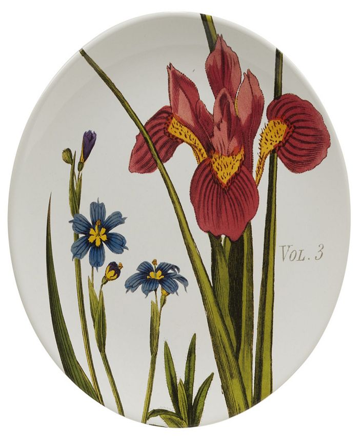 Certified International Botanical Floral Set of 4 Dinner Plates - Macy's