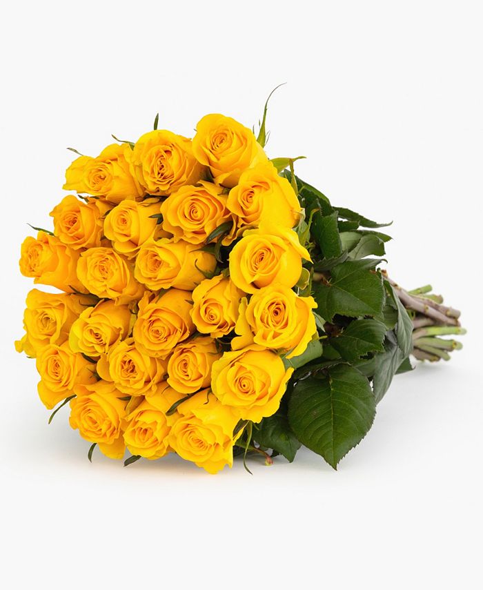 BloomsyBox Two Dozen Yellow Roses Fresh Flower Bouquet - Macy's