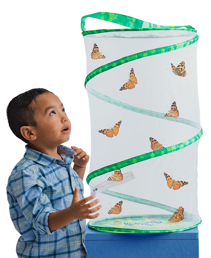 Insect Lore STEM Educational Butterfly Life Cycle Growing Kit - Macy's