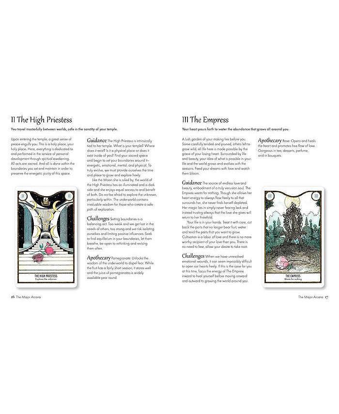 Barnes & Noble Elemental Power Tarot - Includes a full deck of 78 cards ...