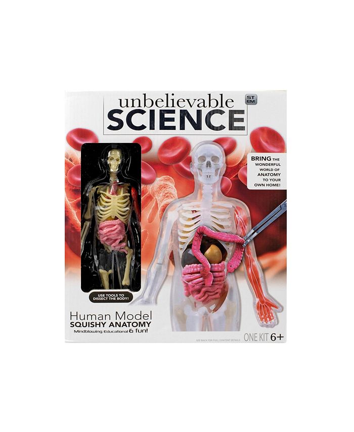 RMS Human Model Squishy Anatomy Kit - Macy's