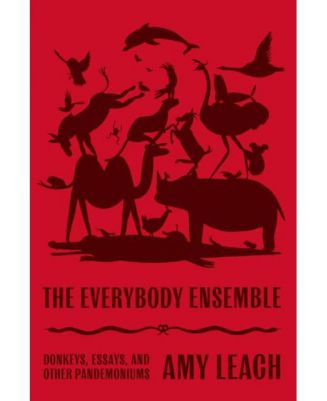 Barnes & Noble The Everybody Ensemble - Donkeys, Essays, and Other ...