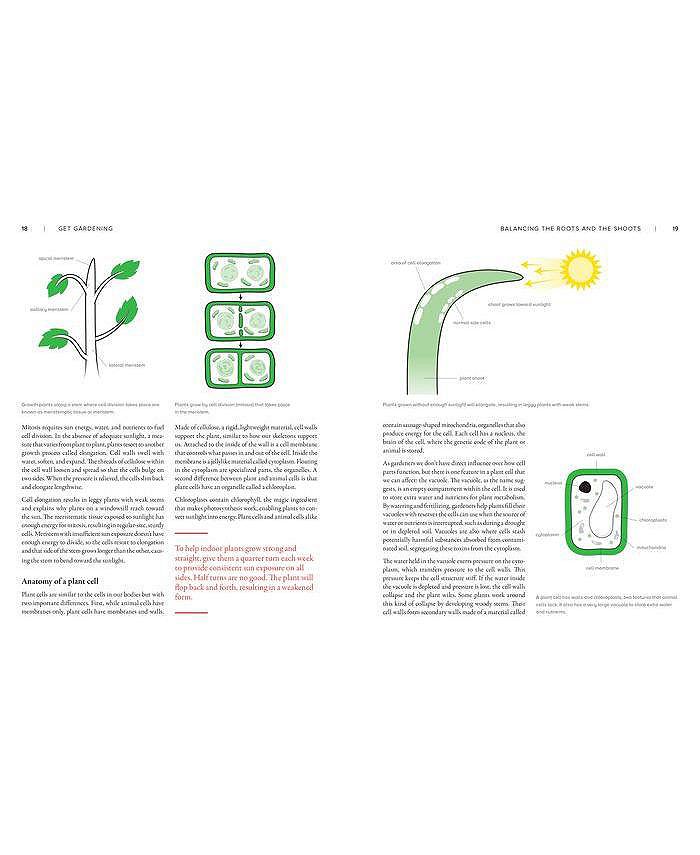 Barnes & Noble The New Gardener's Handbook - Everything You Need to ...