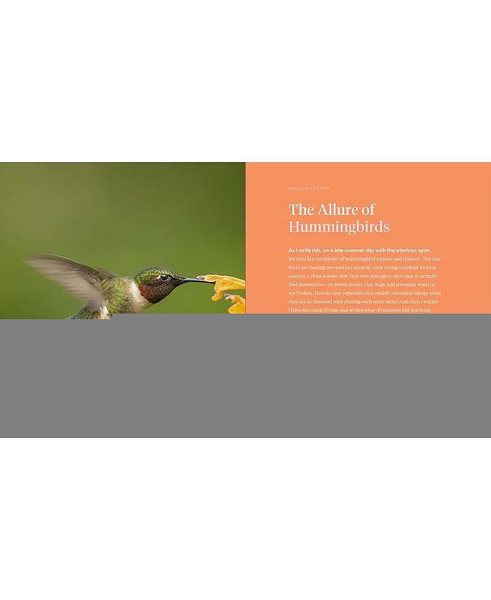 Barnes & Noble The Hummingbird Handbook - Everything You Need to Know ...