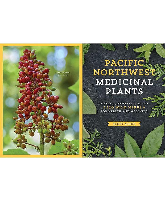 Barnes & Noble Pacific Northwest Medicinal Plants: Identify, Harvest, and Use 120 Wild Herbs for ...
