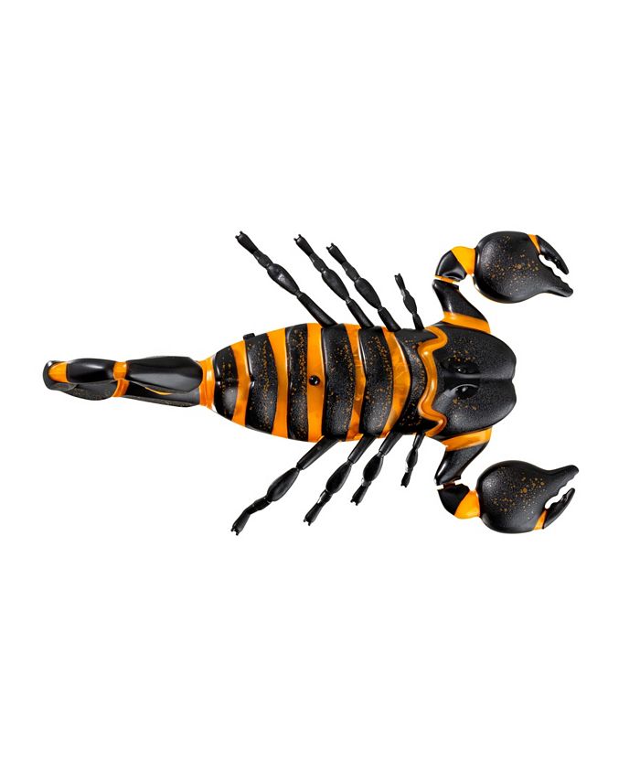 Discovery Kids RC Scorpion, Glow In The Dark Body, Wireless Remote ...