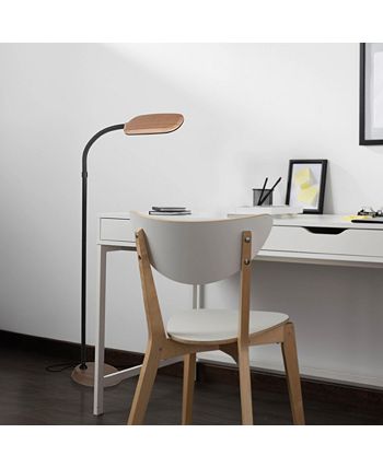 Brightech Litespan Slim LED Gooseneck Floor Lamp with Adjustable Head ...