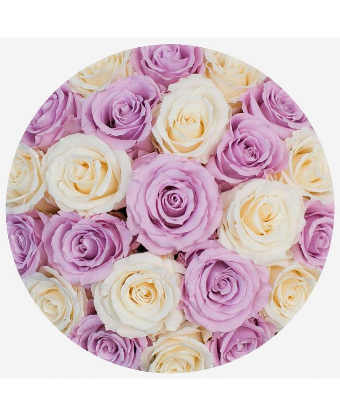 The Million Roses Classic Hot Pink Suede Dome Box of Roses - Macy's