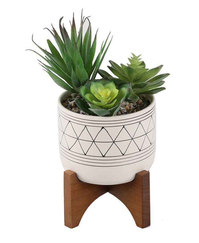 Flora Bunda Faux Succulents in Gold Handprint Ceramic Footed Stand, 5 ...