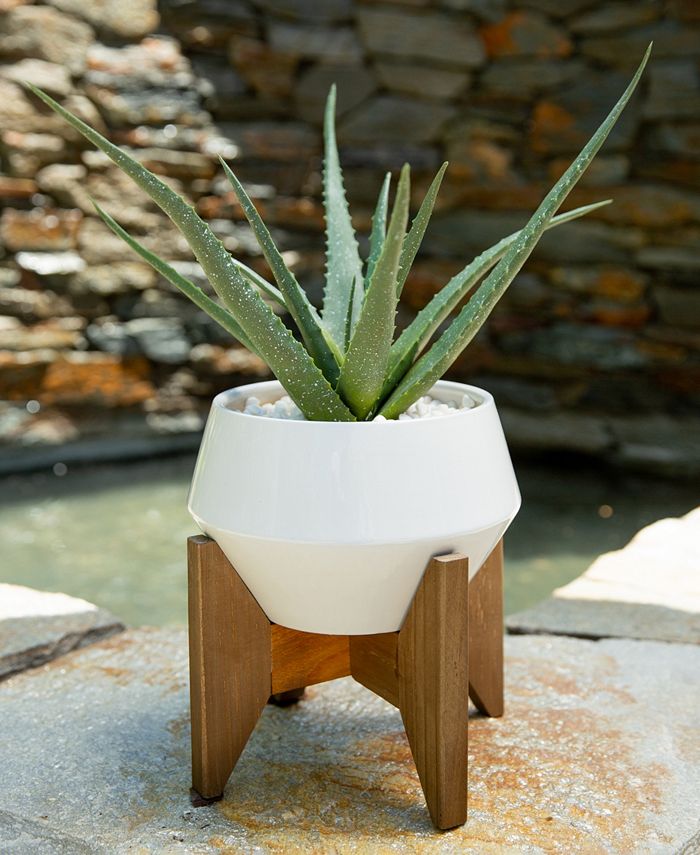 Flora Bunda Aloe in Geometric Ceramic Pot on Stand, 20" - Macy's