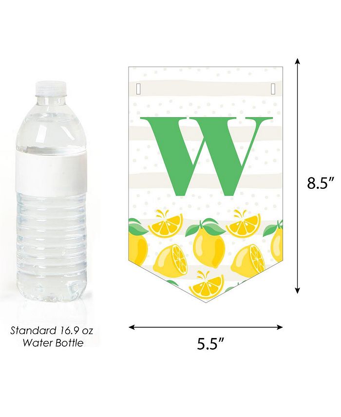 Big Dot of Happiness So Fresh - Lemon - Baby Shower Bunting Banner ...