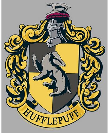 Warner Bros. Boy's Harry Potter Hufflepuff Gold Crest Child T-Shirt ...