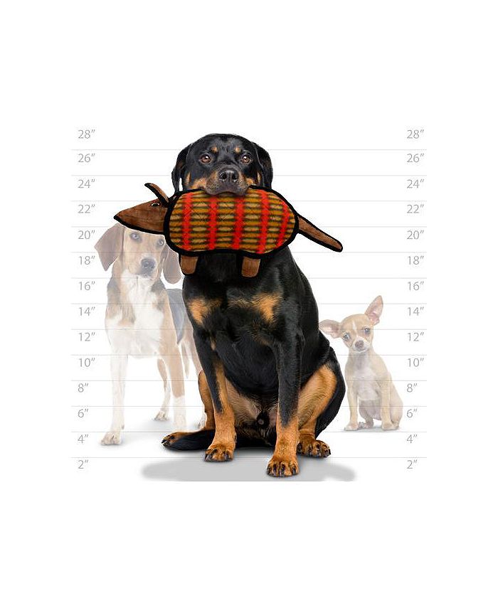Tuffy Desert Armadillo, Dog Toy - Macy's