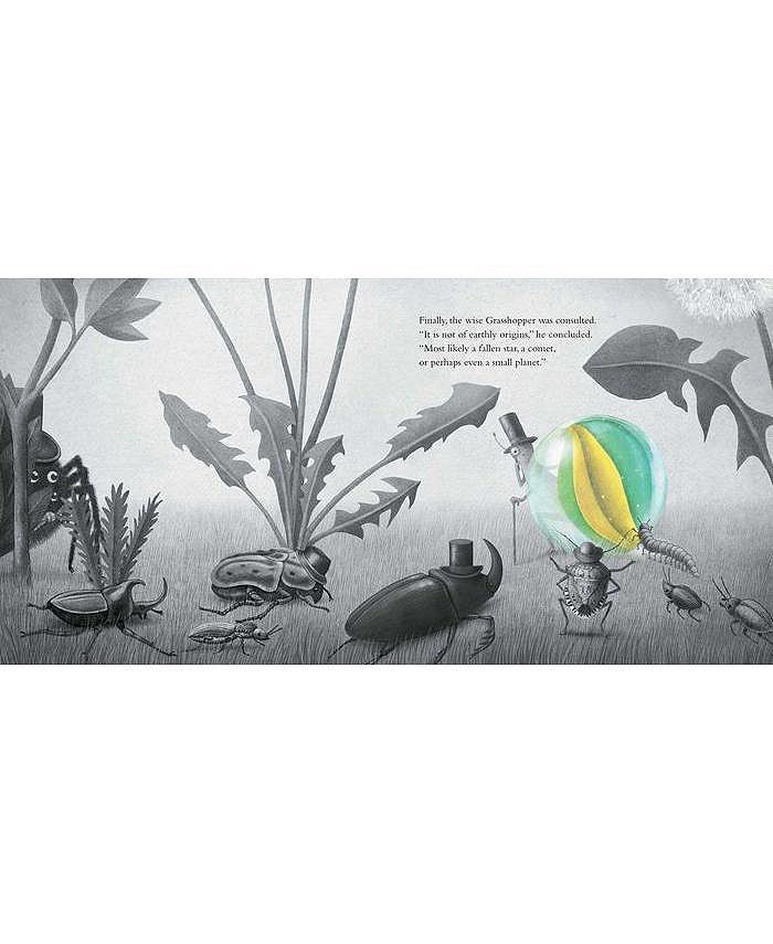 Barnes & Noble It Fell from the Sky by Terry Fan - Macy's