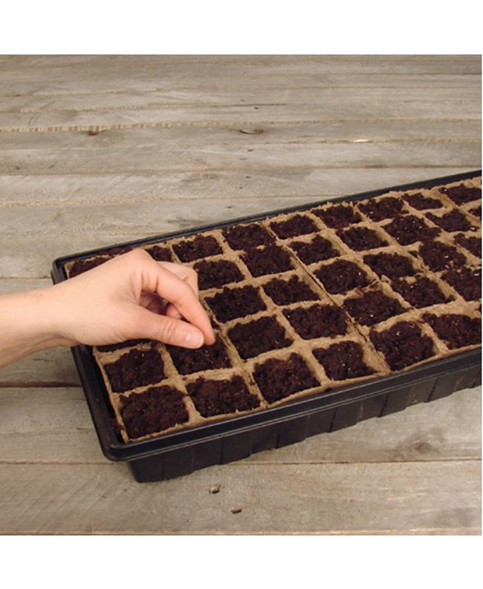 Jiffy Seed Starter Greenhouse, Grows 50 Seeds - Macy's