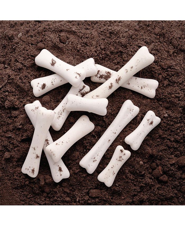 Yellow Door Dinosaur Bones Match Measure, Set of 16 - Macy's