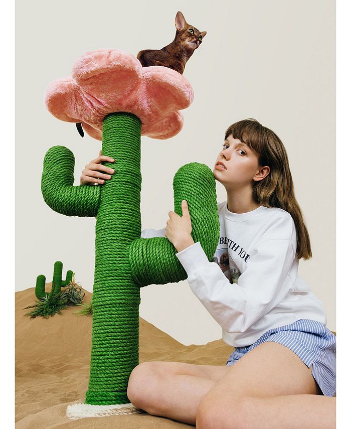 VETRESKA Blooming Cactus Cat Scratching Post, Cactus Cat Scratchers ...