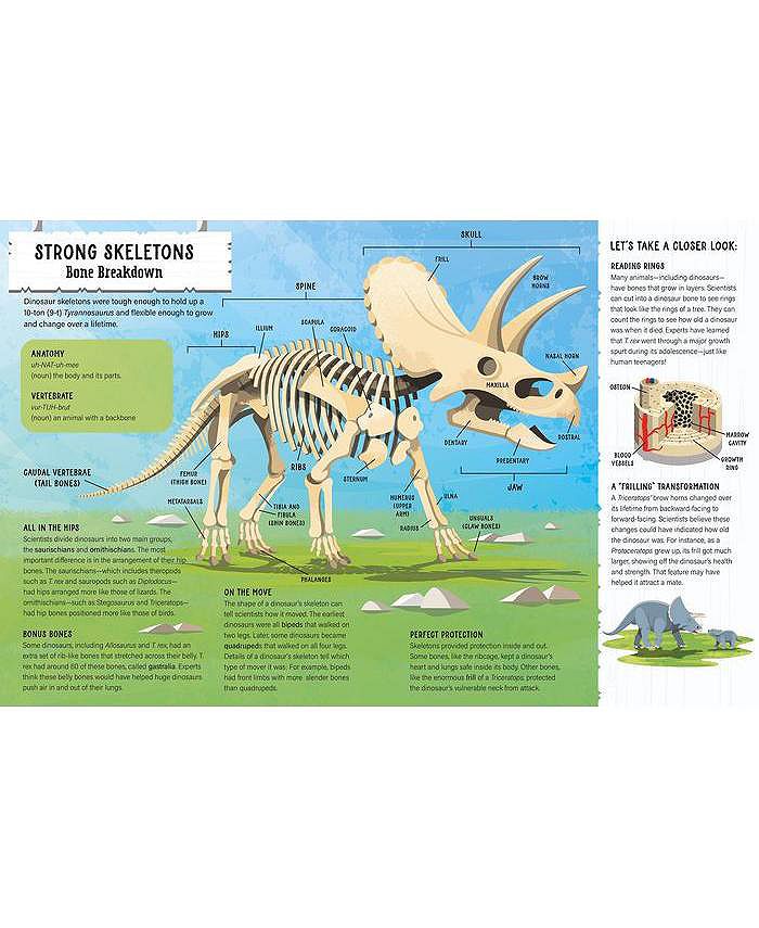 Barnes & Noble Dinosaurs: 400 Words for Budding Paleontologists by ...