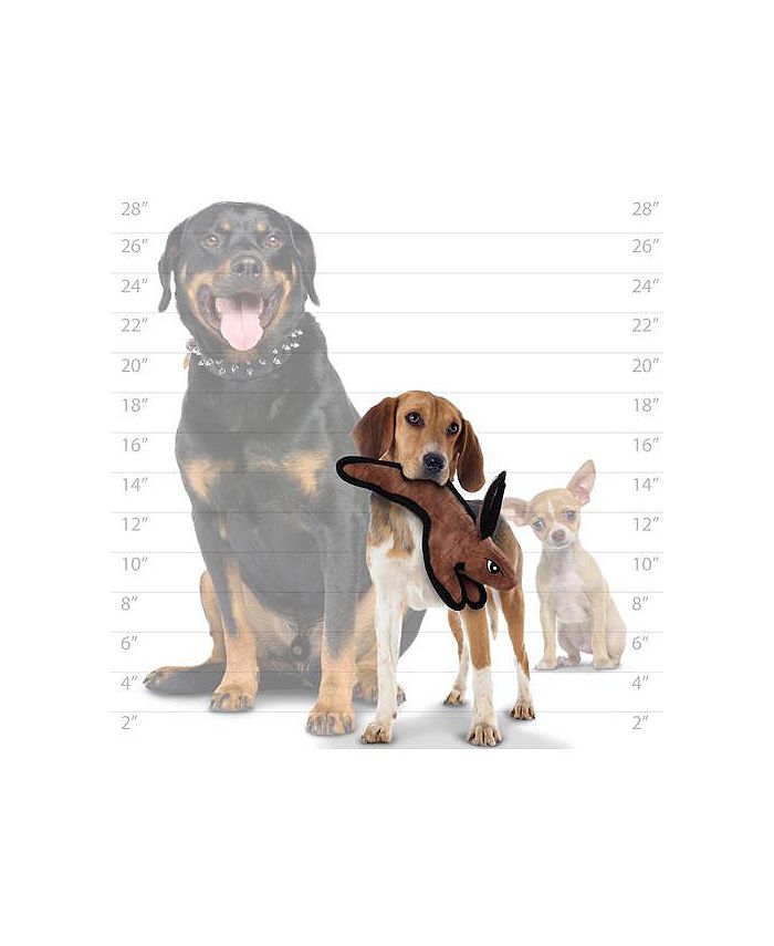 Tuffy Jr Barnyard Rabbit Brown, 2-Pack Dog Toys - Macy's