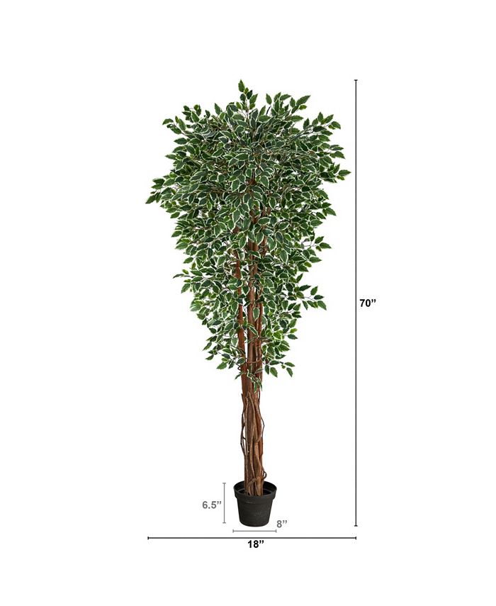Nearly Natural 70" Variegated Ficus Artificial Tree UV Resistant Indoor ...