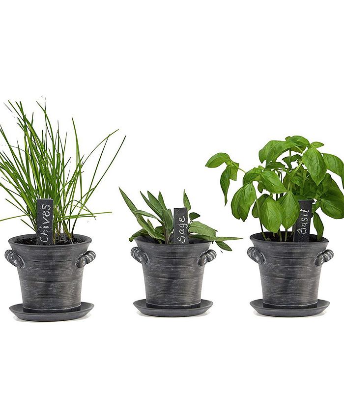 Window Garden Herb Growing Kit - Grow an Indoor Garden, Herb Kitchen ...