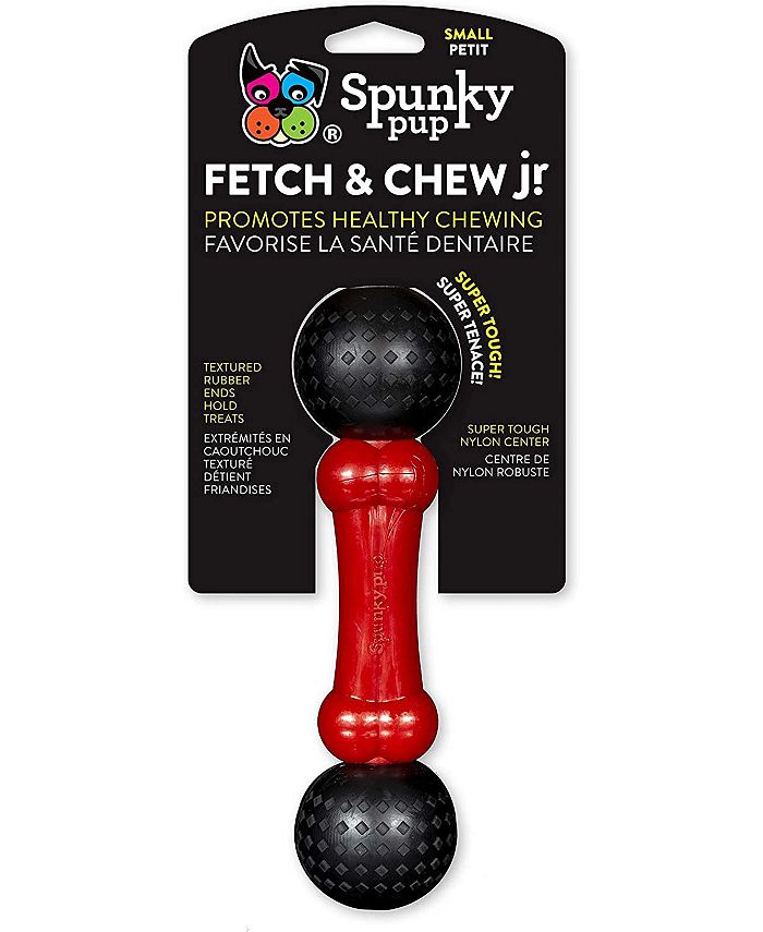 Spunky Pup Fetch & Chew Bone - Small Dog Toy - Macy's