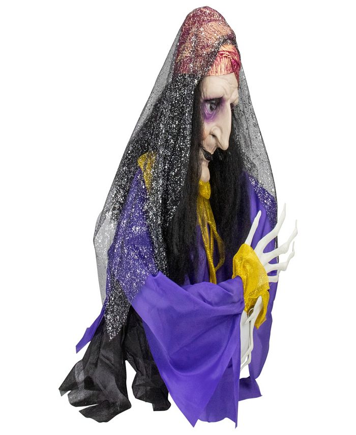 Northlight 20" Lighted and Animated Fortune Teller Halloween Decoration ...