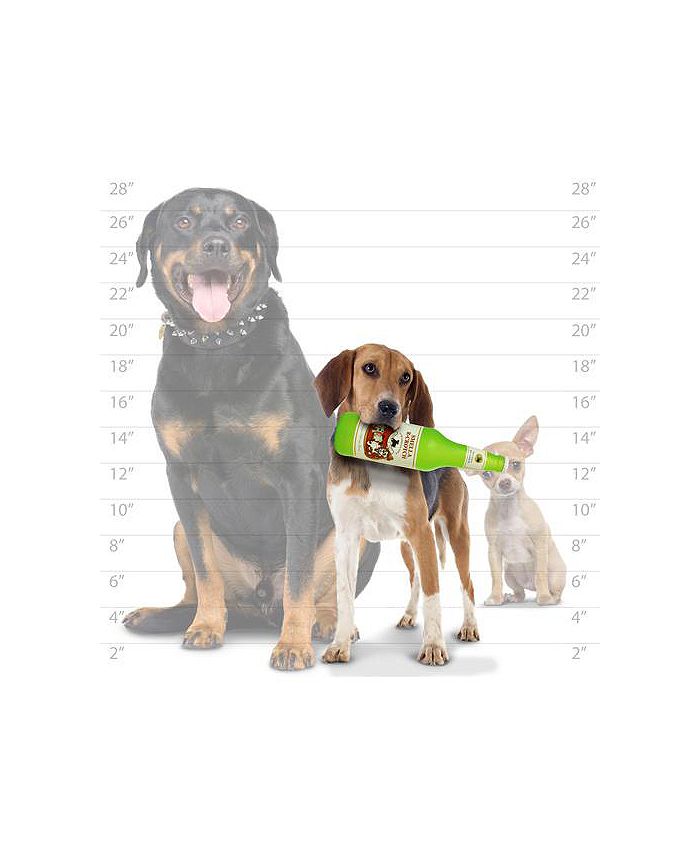 Silly Squeaker Beer Bottle SmellaRCrotch, 2-Pack Dog Toys - Macy's