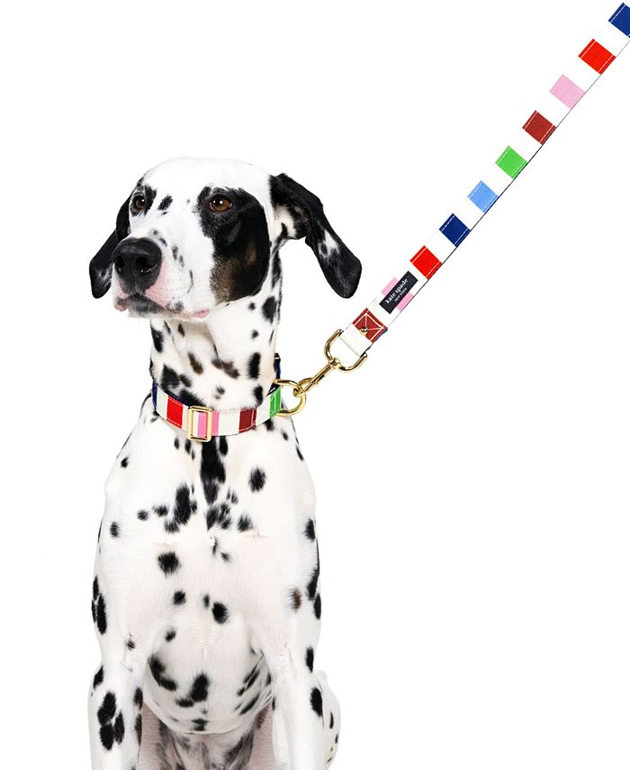kate spade new york Adventure Stripe Dog Leash - Macy's
