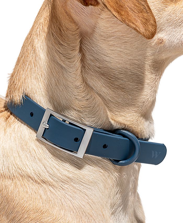 Wild One Navy Buckle Dog Collar - Macy's