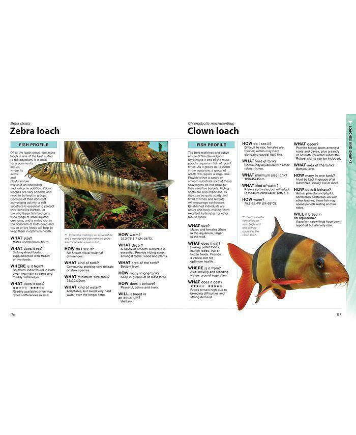 Barnes & Noble What Freshwater Fish?- A Buyer's Guide to Tropical ...