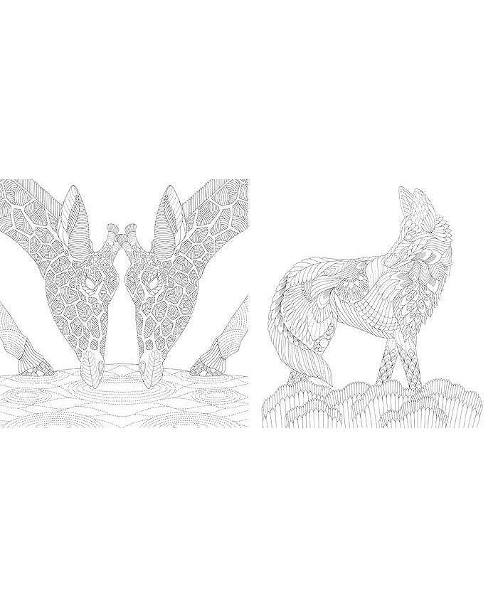 Barnes & Noble Millie Marotta's Brilliant Beasts- Favorite ...