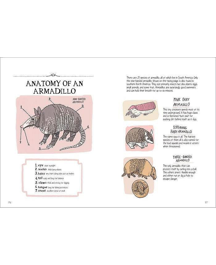 Barnes & Noble Wildlife Anatomy- The Curious Lives & Features of Wild ...