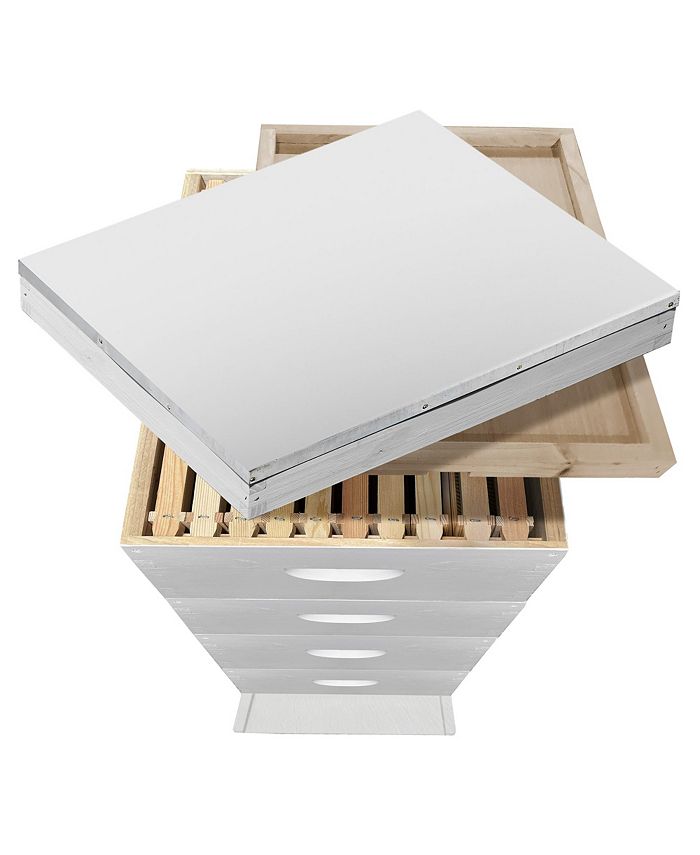 Honey Keeper Beehive Kit Assembled and Painted, 10 Frame Kit, 2 Deep ...