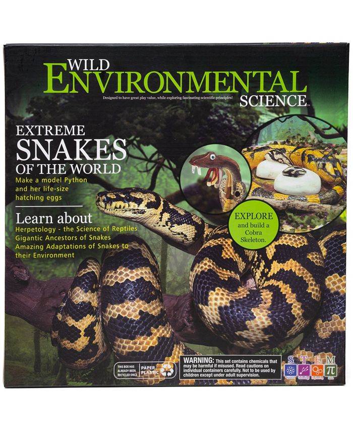 WILD! Science Wild Environmental Science - Extreme Snakes of the World ...