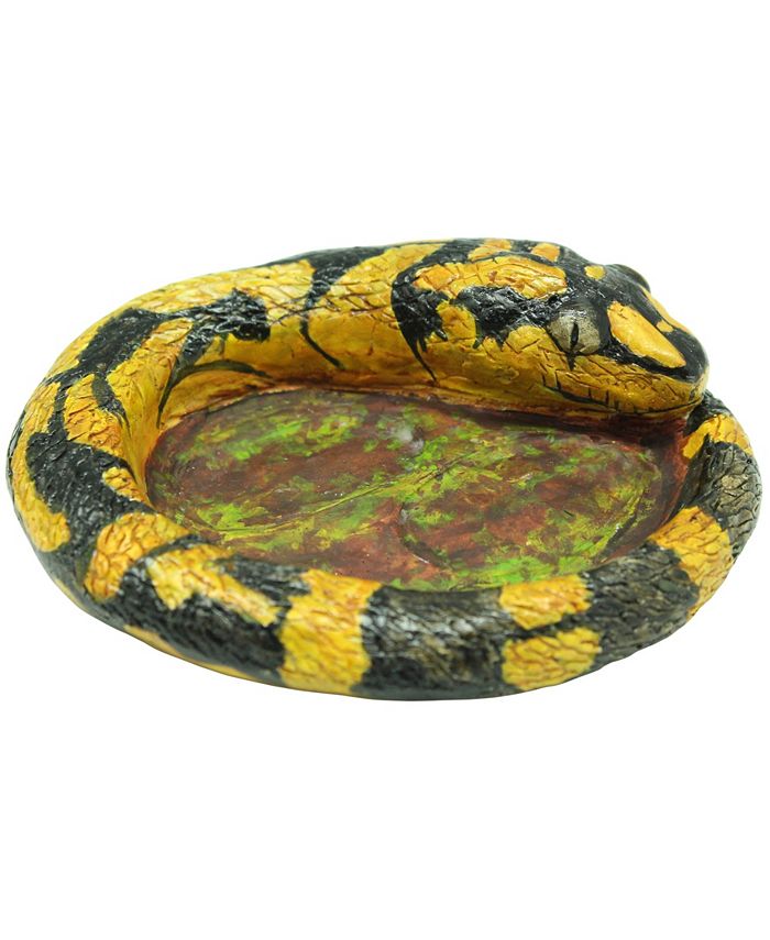 WILD! Science Wild Environmental Science - Extreme Snakes of the World ...